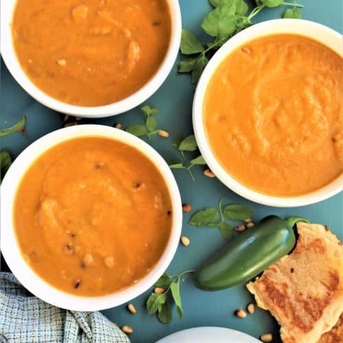 Harvest Vegetable Jalapeno Bisque - Green Scheme